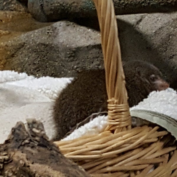 Small Mammal Building - Zoo Exhibit in Milwaukee