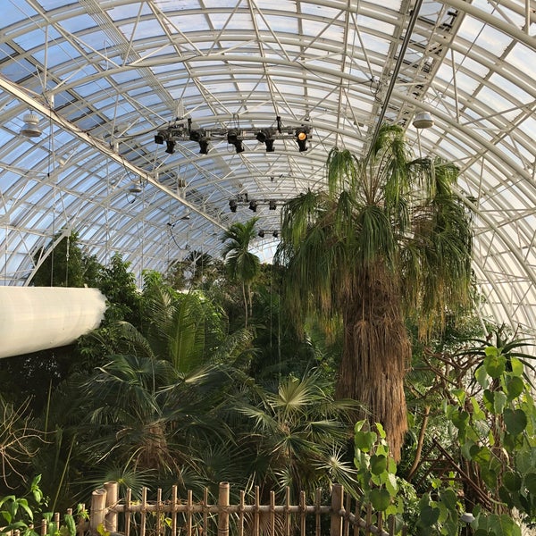 Crystal Bridge Tropical Conservatory - Downtown Oklahoma City - 7 tips ...