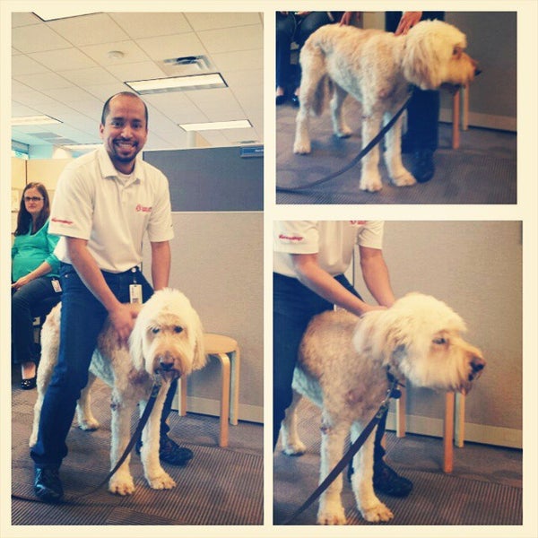 Photos at PetSmart Corporate Headquarters - Office in Phoenix