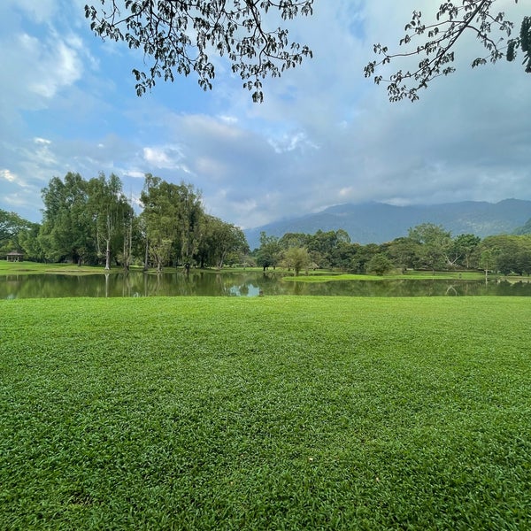 Raintree Walk - Bandar Taiping, Perak