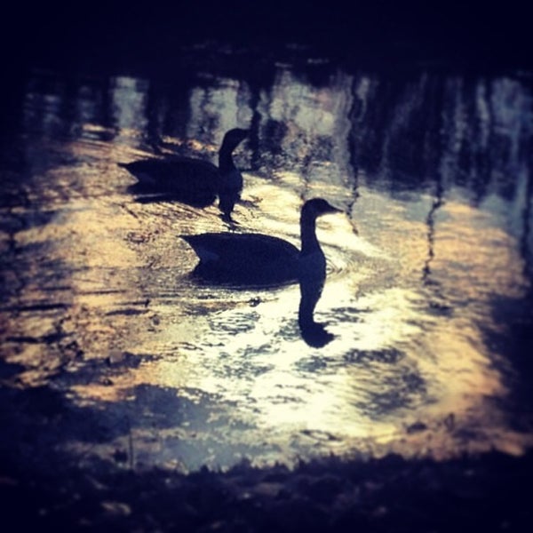 Clissold Park Splash Pad - Hackney - London, Greater London