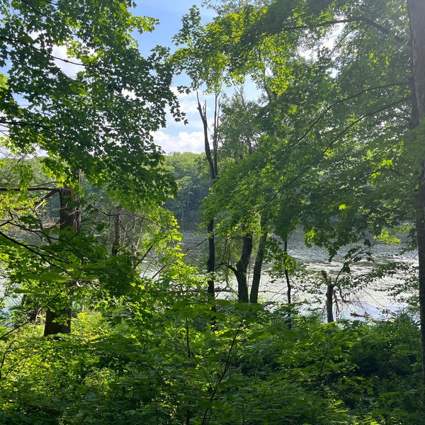 Beartown State Forest - Great Barrington, MA