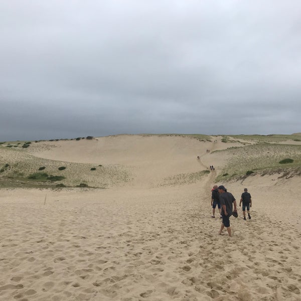 Ptown Sand Dunes - Beach