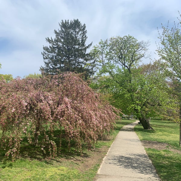 Photos at Lippitt Park - Playground in Providence