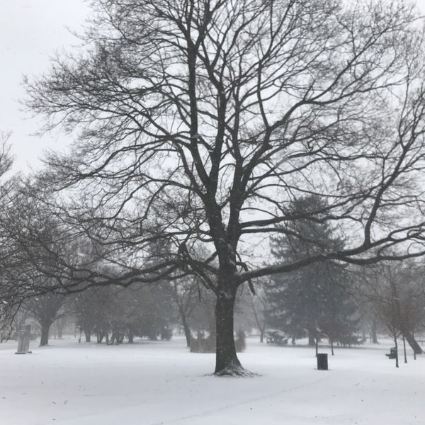 Photos at Lippitt Park - Playground in Providence