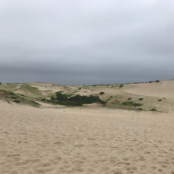 Ptown Sand Dunes - Beach