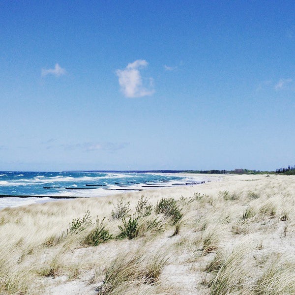Strand Ahrenshoop - Ostseebad Ahrenshoop, Mecklenburg-Vorpommern