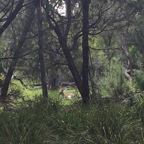 Lysterfield park, MTB Trails - 1 tip