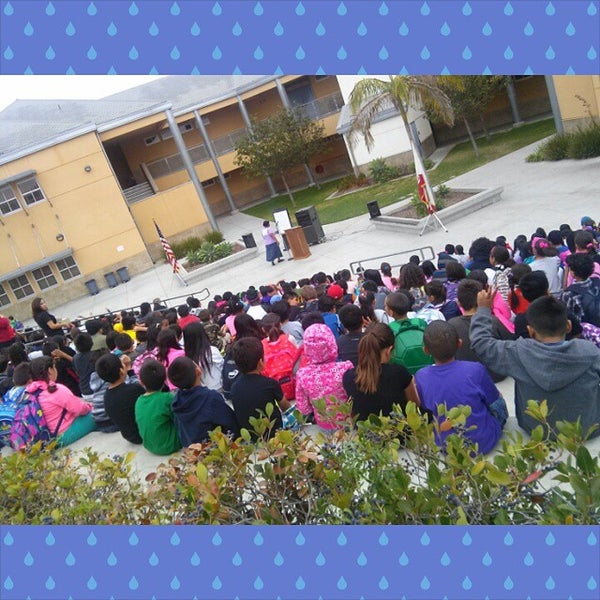 Boone Elementary School - Bay Terraces - 2 tips