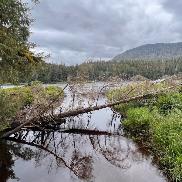Ward lake - 2 tips
