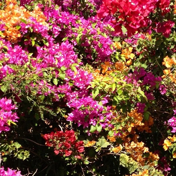 Photos at Makaha Resort & Golf Club - 5 tips