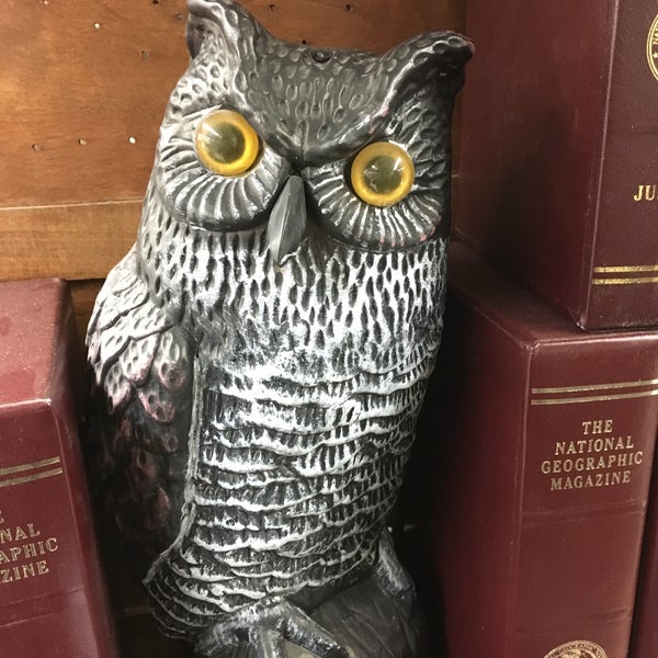 Antique Mall Of West Seattle - Antique Store in Seattle