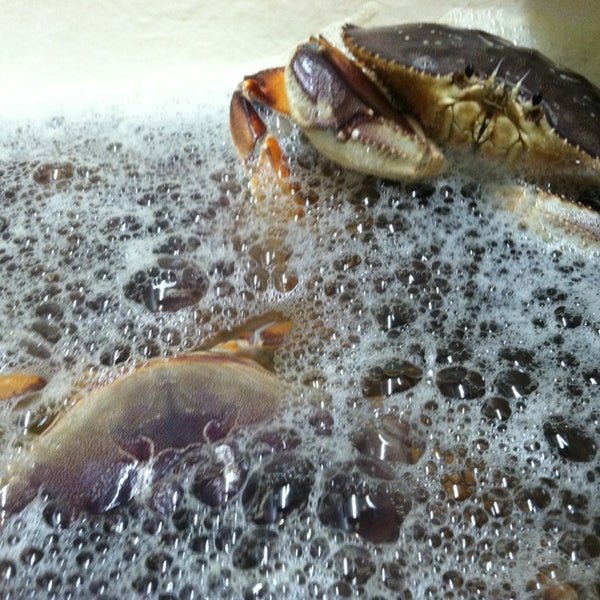 Photos at ABC Seafood - Fish Market
