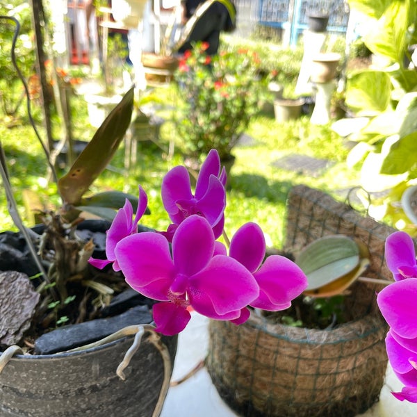 Magelang - 92 tips from 5757 visitors