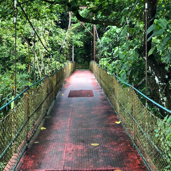 Taman Rimba Kiara TTDI - Federal Territory Of Kuala Lumpur, Kuala Lumpur