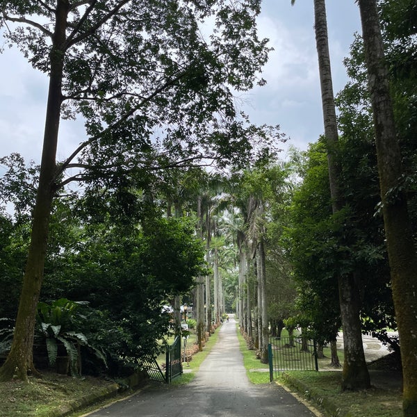 Taman Rimba Kiara TTDI - Federal Territory Of Kuala Lumpur, Kuala Lumpur