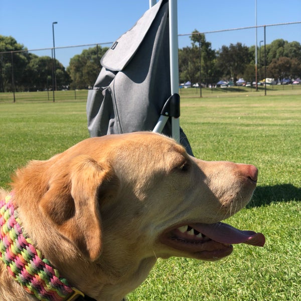 The Farmers Market on Manning - Waterford, Perth, WA - 11 tips from 202 ...