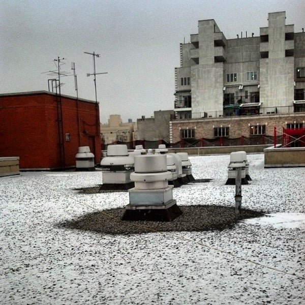 PS 380 - John Wayne School - Education in Brooklyn