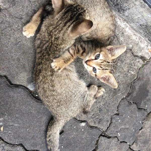 Menara Duta - Jl. HR Rasuna Said Kav. B-9