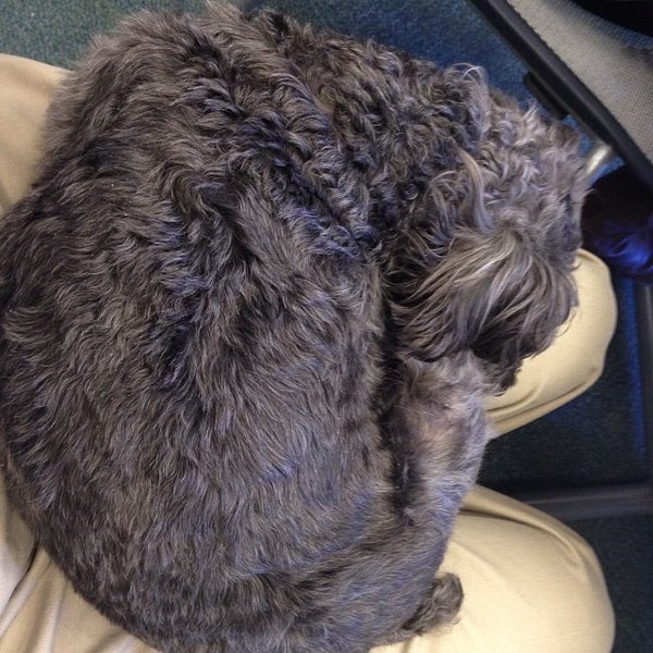 Alice Cook House - College Residence Hall