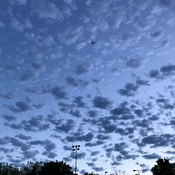 Miller Playfield - Sports and Recreation in Capitol Hill