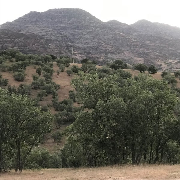 Makhmal Kooh | پارک جنگلی مخمل کوه - Forest
