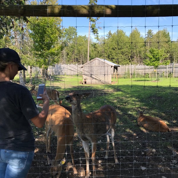 Deer Ranch - Saint Ignace, MI