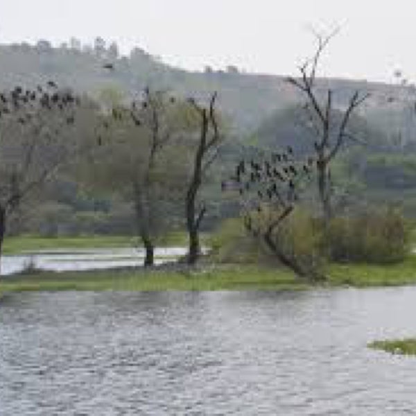 Pashan Lake - Scenic Lookout in Pune