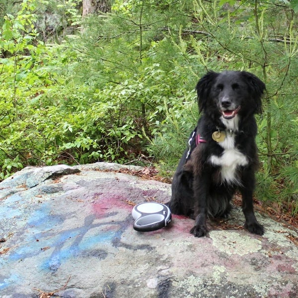 Profile Rock - Other Great Outdoors in Assonet