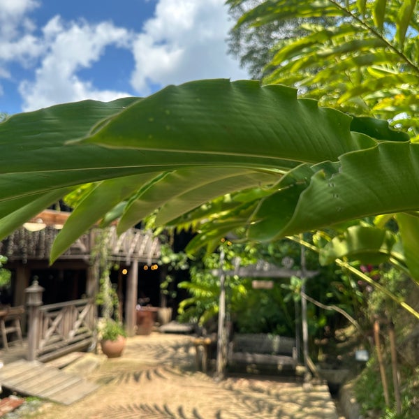 Istana Lemuni - 1 tip