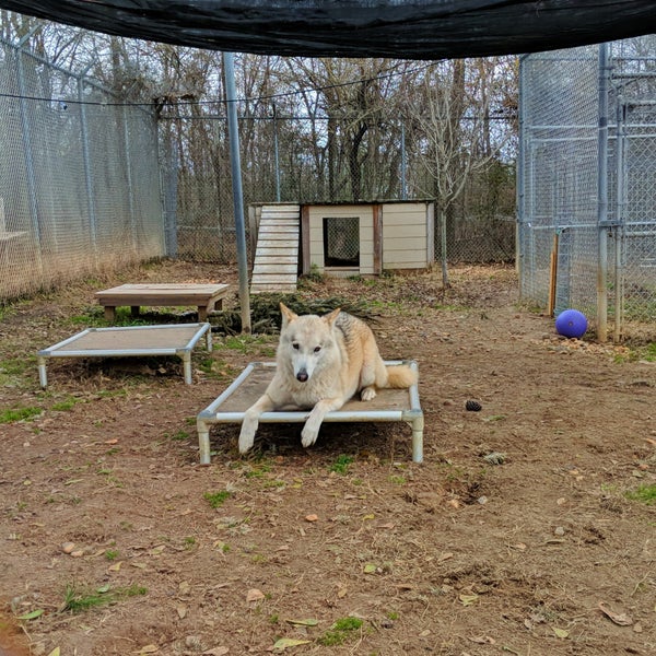 Saint Francis Wolf Sanctuary - Montgomery, TX