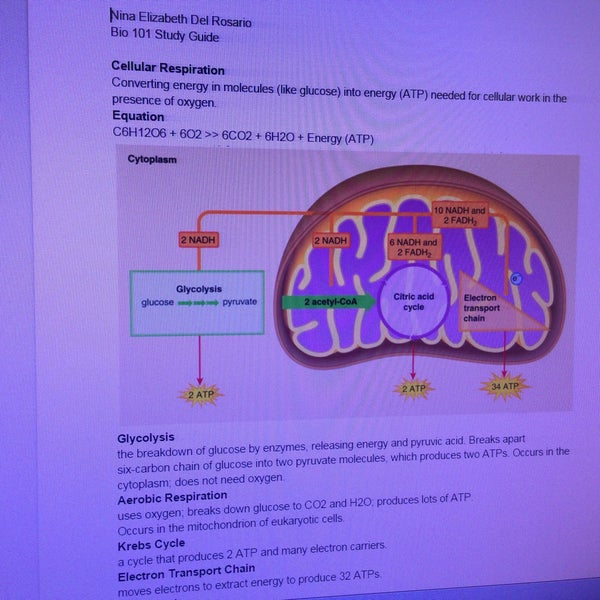 TCC Virginia Beach Library - College Library