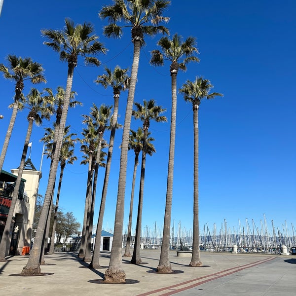 Seals Plaza - South Beach - 2 tips