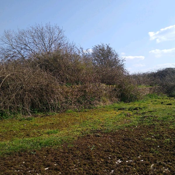 Blakehill Nature Reserve - Wiltshire, Wiltshire