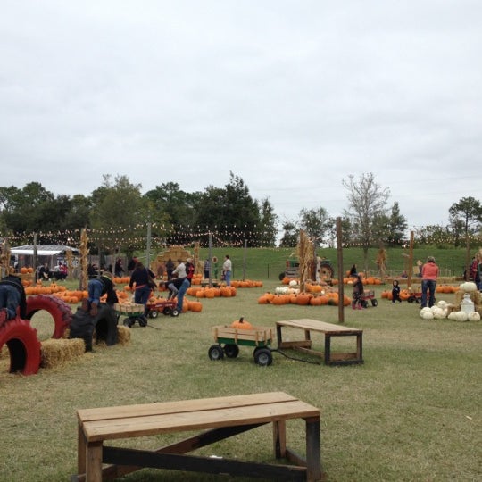 Hall Pumpkin Farm - 13 tips