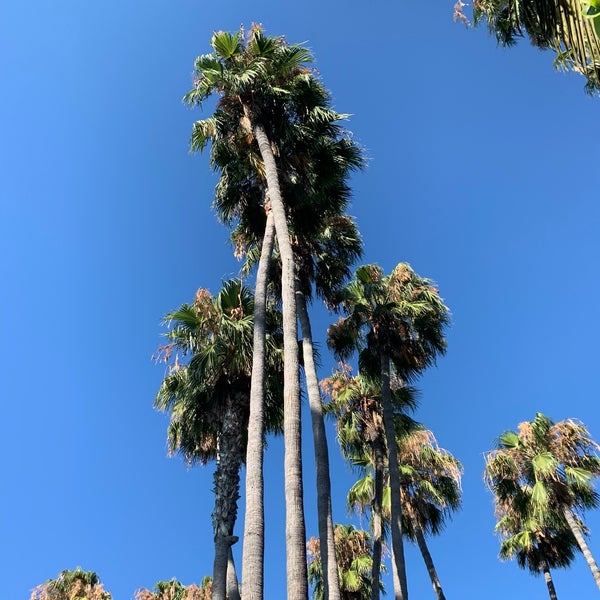 Tiki Oasis - Entertainment Event