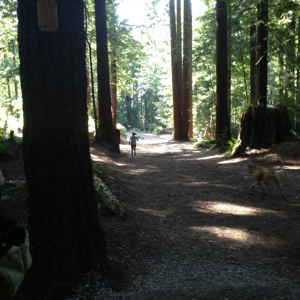 Redwood Curtain Disc Golf - Disc Golf
