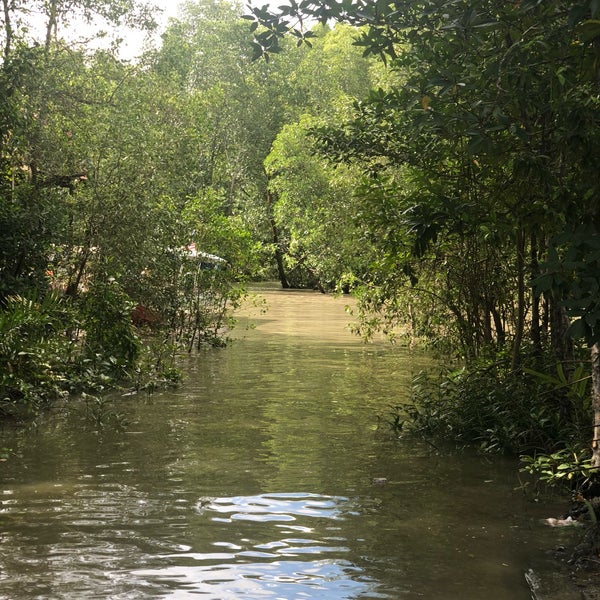 Hutan Paya Larut Matang - Kuala Sepetang, Perak