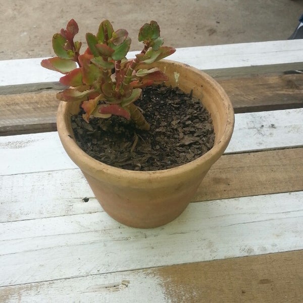 Thesis Concept Store - 10 tips