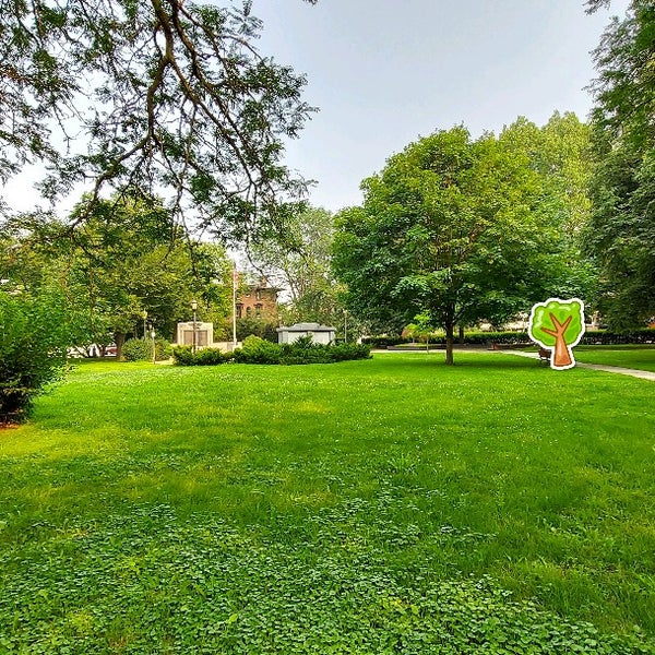 Dewitt Park - 191 visitors