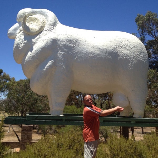 Giant Ram - Sculpture Garden in Wagin