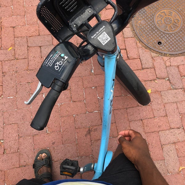 Mandrake Park - Bronzeville - Chicago, IL