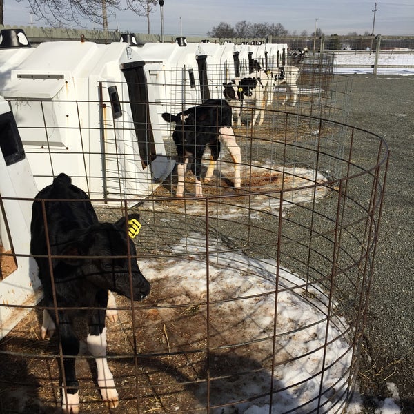 Merrymead Farm - Farmers Market in Lansdale