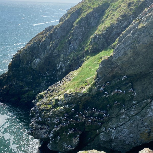 Howth Cliff Walk - Howth - Ballscadden Rd