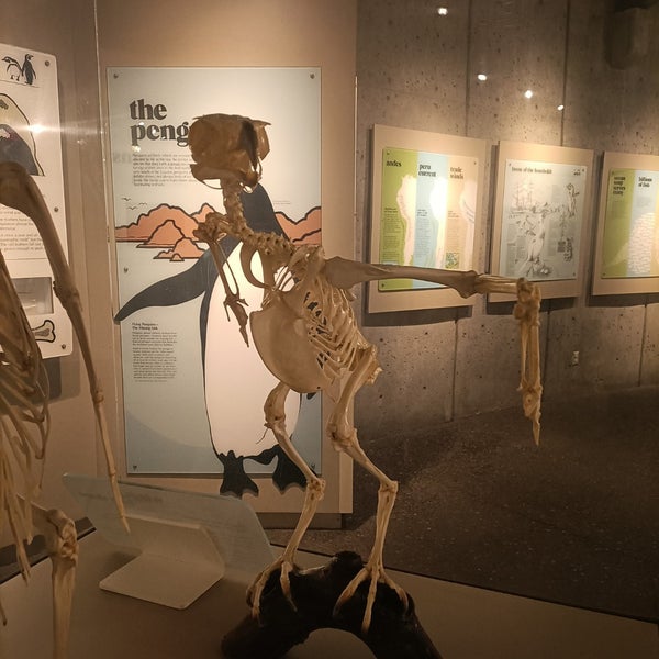 Penguin Exhibit - Portland, OR