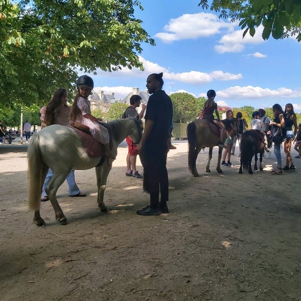Ballades À Poney - Odéon - 2 visitors