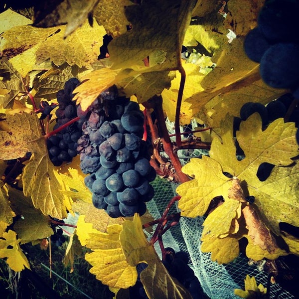 The Vinegar Works at Valentine Farm (Now Closed) - 2 tips