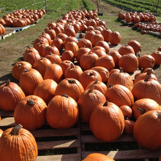 Terhune Orchards - 69 tips from 3027 visitors
