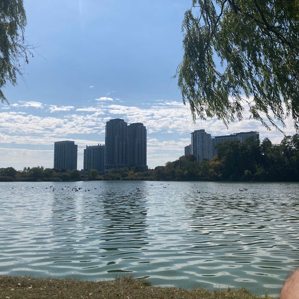 Tom Riley Park - Islington - City Centre West - 1 tip from 78 visitors