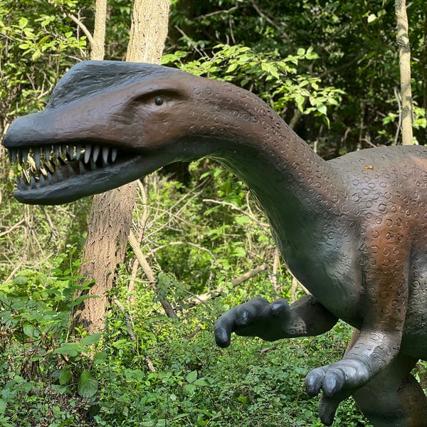 Dinosaur World - Amusement Park